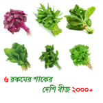 Bangladeshi Best Online Seeds Store For Gardening