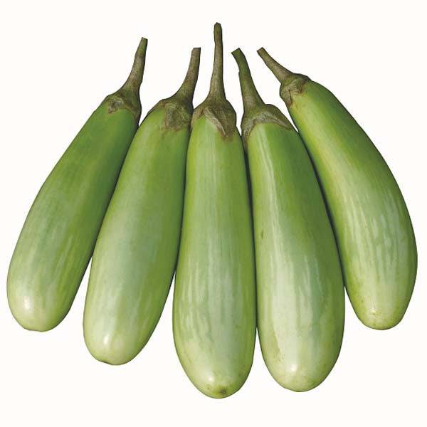 Pritom F1 Hybrid Brinjal প্রীতম বেগুন - SeedsMate