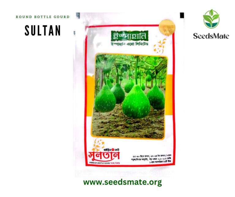 ROUND BOTTLE GOURD SULTAN MINI PACKET 50 TK - SeedsMate