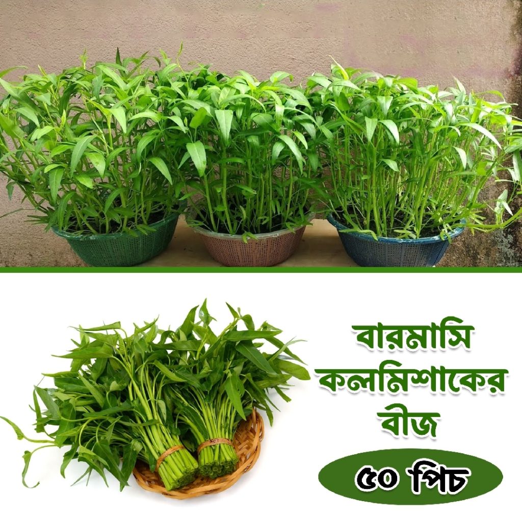 Bangladeshi Best Online Seeds Store For Gardening