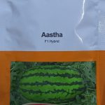 Bangladeshi Best Online Seeds Store For Gardening